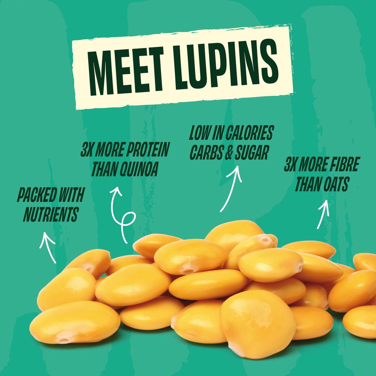 Tarwi - The earth's answer to plant protein.