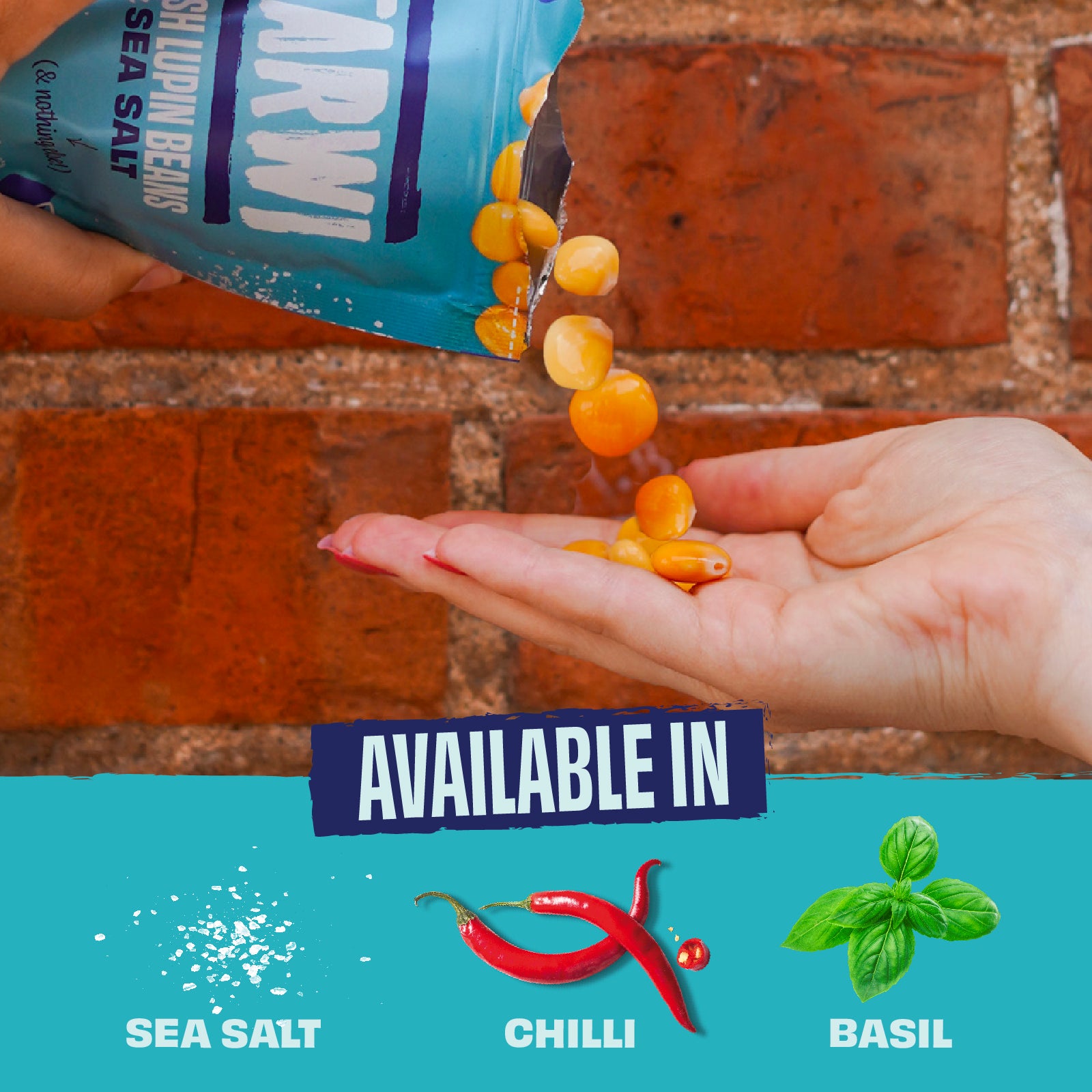 Tarwi - The earth's answer to plant protein.